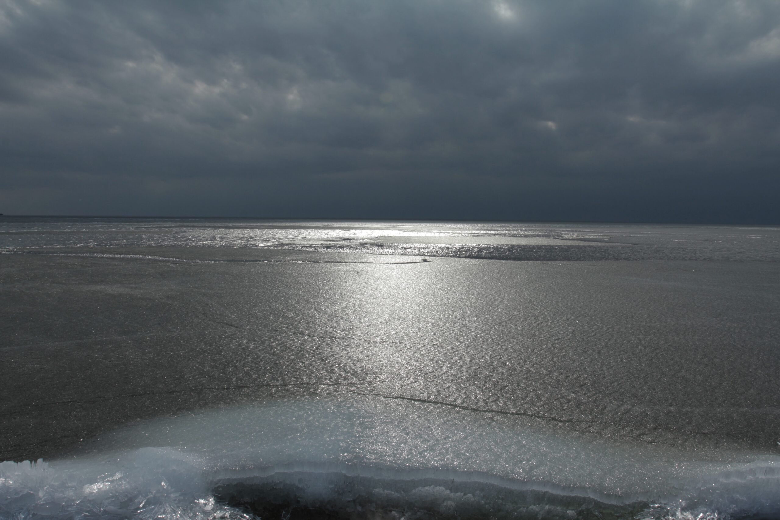 Drew Perry, 2025 – Boreal Shores Art Tour